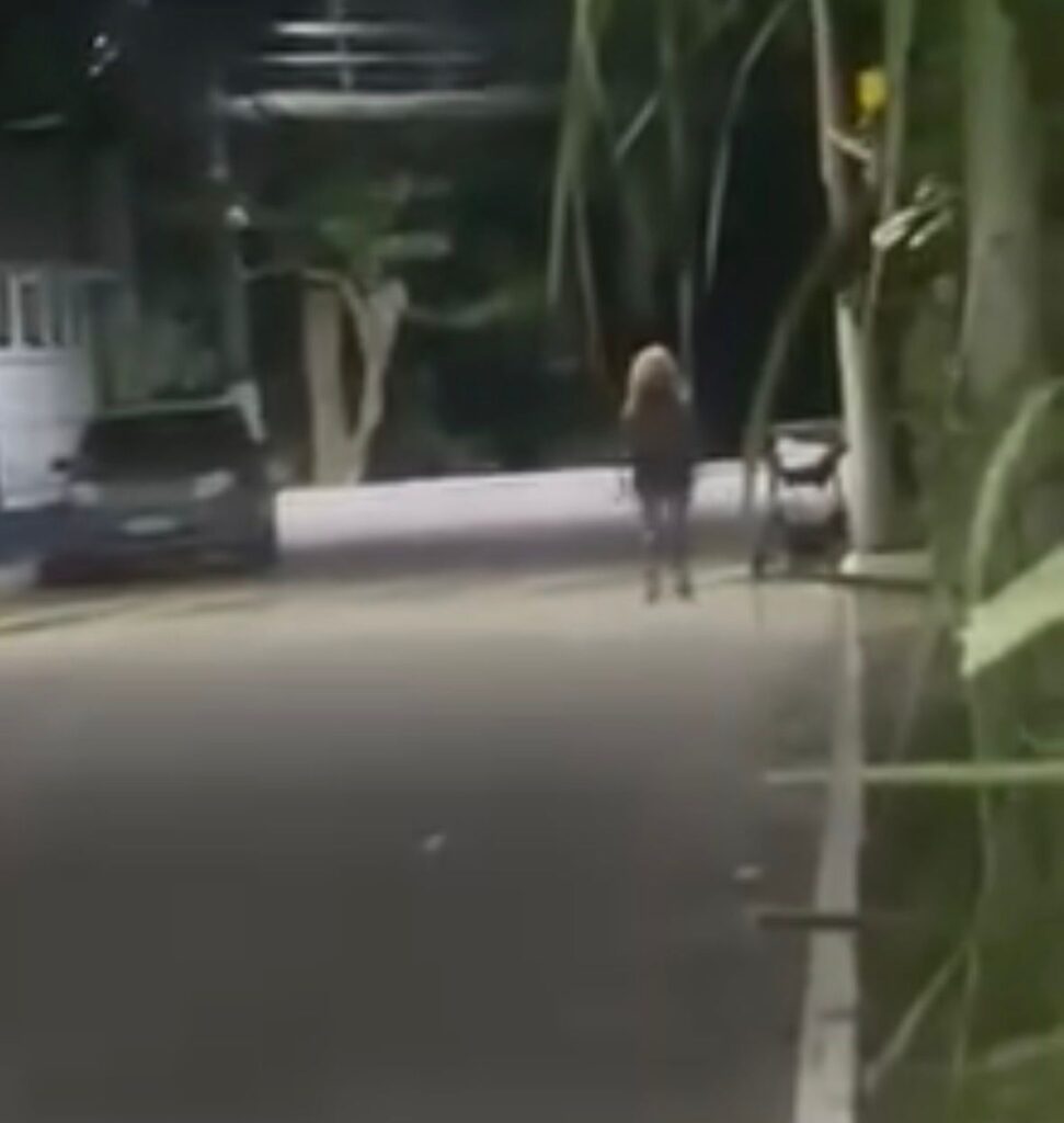 Vídeo reforça investigação no Caso Jonah após prisão da mãe
